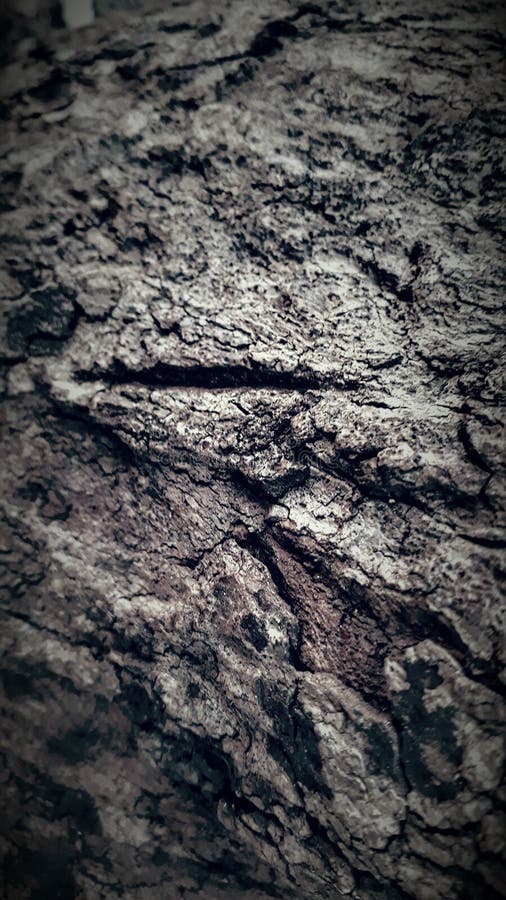 Landscape Background Texture Stock Image - Image of landscape, texture ...