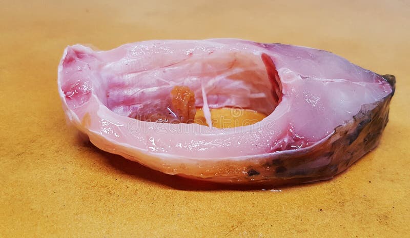 This is an Image of One Piece of Raw Fish . Stock Image - Image of ...