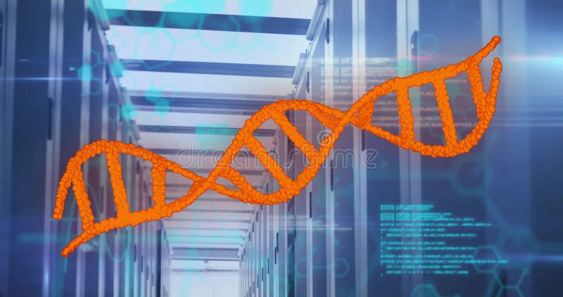 Image of Orange Dna Strand and Data Processing Over Computer Server ...