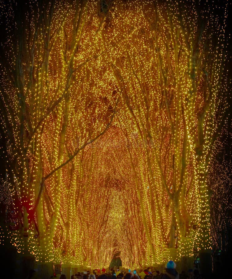 Image of the Pageant in Sendai Light Stock Photo - Image of ...