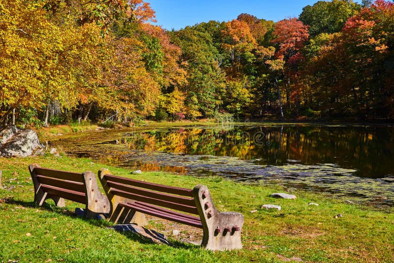 Pair of Park Benches on Grass by Small Pond Lined with Fall Forest ...