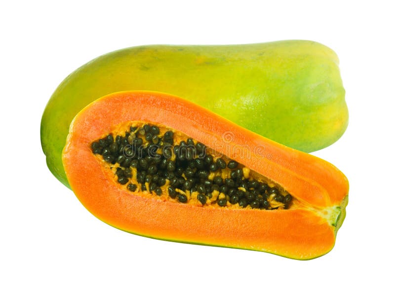 Old papaya fruits stock photo. Image of flora, backyard - 97934176