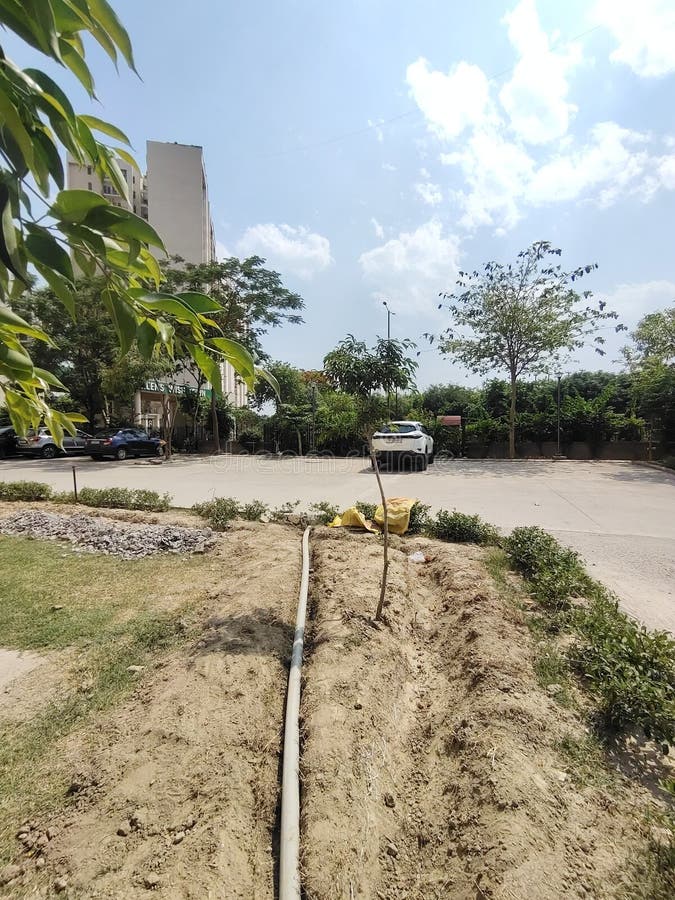 Image Par King so Butiful Pick Stock Image - Image of pick, butiful ...