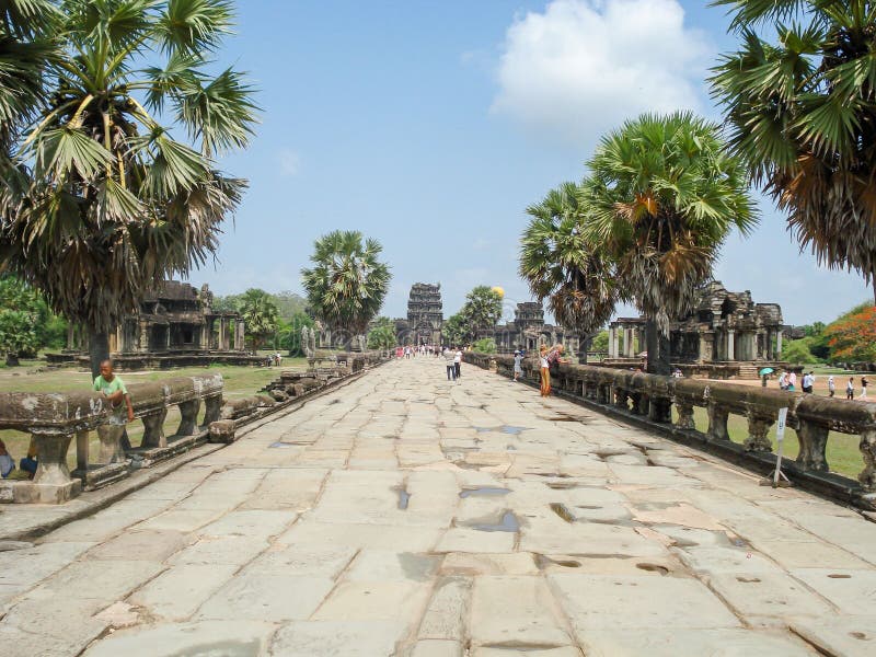 Image of a Path with Tourists, with Asian Palmyra Palms on Both Sides ...