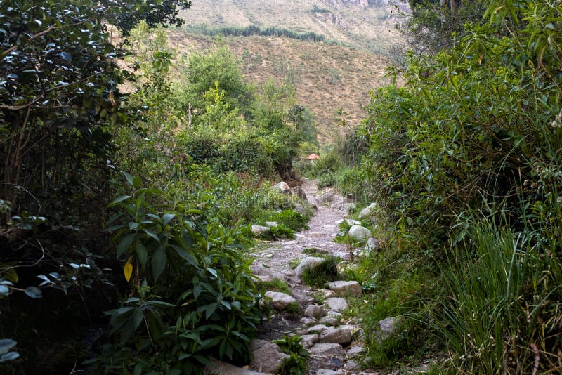 Image of a Pathway Trail in Cusco Peru. Stock Photo - Image of cusco ...