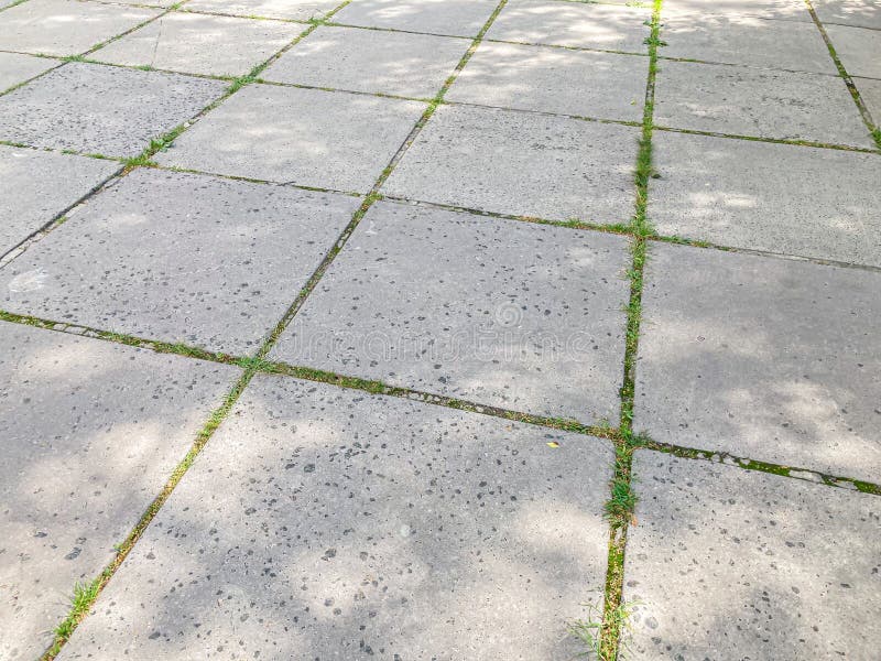 Image of a Pavement or Sidewalk with Diagonal Tile Pattern, Growing ...