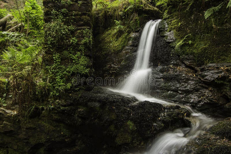 Image of Peaceful Waterfall in the Rain Forest Stock Image - Image of ...