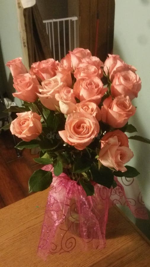 Image of Peach/Pink Roses in Vase Stock Photo - Image of anniversary ...