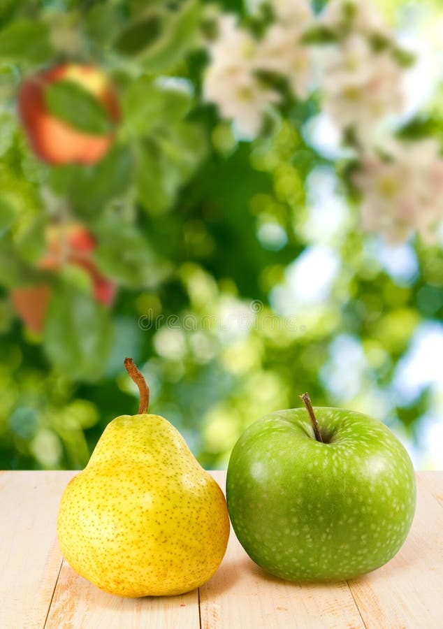 Image of Pear and Apple Closeup Stock Image - Image of apples, leaf ...