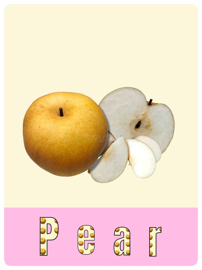 Flash Card Stock Illustrations – 73,742 Flash Card Stock Illustrations ...