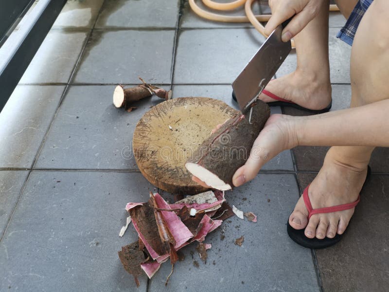 Peel Skin,cut and Slice Raw Tapioca Root. Stock Image - Image of asian ...