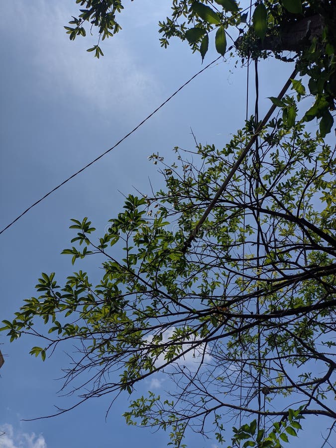 This Image is Perfect for Use in Background Designs, Inspirational ...