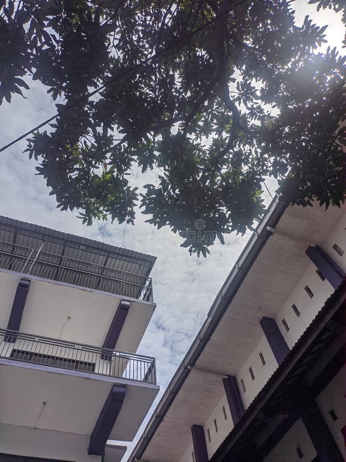 This Image is Perfect for Use in Background Designs, Inspirational ...