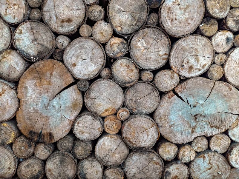 Image of a Pile of Pieces of Wood Stock Photo - Image of wall, pile ...