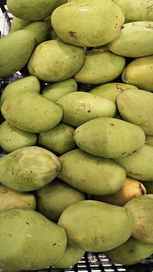 Pile of Ripe and Fresh Black Gold Mango Fruits. Stock Image - Image of ...