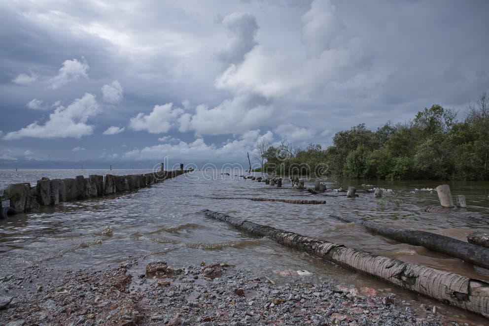 Pile in a Row of Log Jetty by the Sea Stock Image - Image of cloudy ...