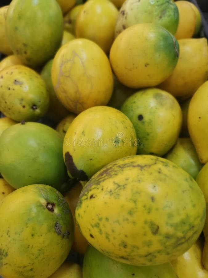 Pile of Yellow Pouteria Caimito Fruit. Stock Photo - Image of brazilian ...