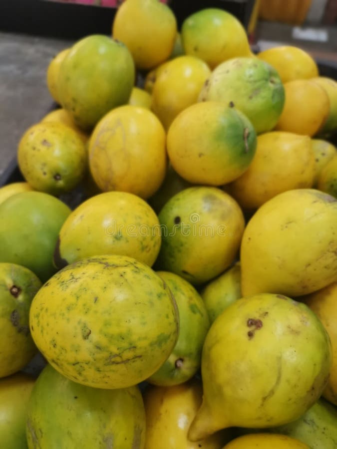 Pile of Yellow Pouteria Caimito Fruit. Stock Photo - Image of ...