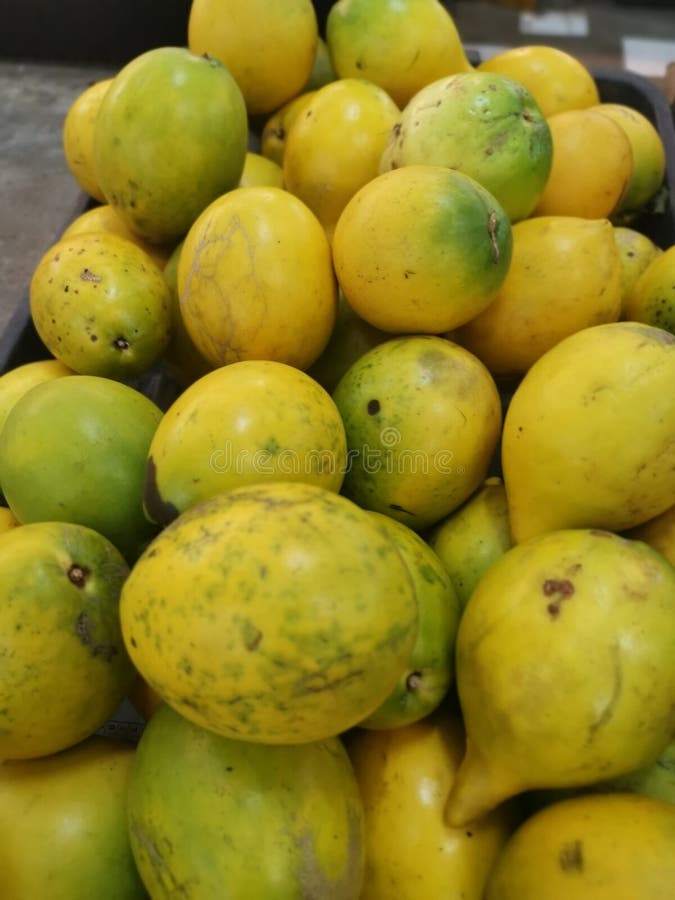 Pile of Yellow Pouteria Caimito Fruit. Stock Photo - Image of brazilian ...
