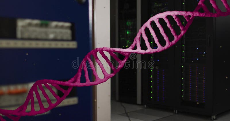 Image of Pink Dna Strand Rotating Over Computer Server Room Stock Image ...