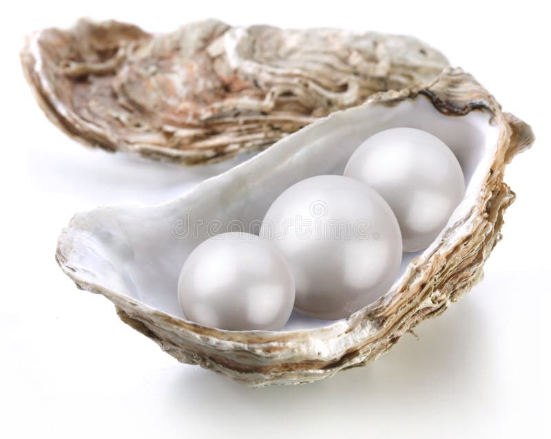 Image of a White Pearl in a Shell on a White Stock Image - Image of ...