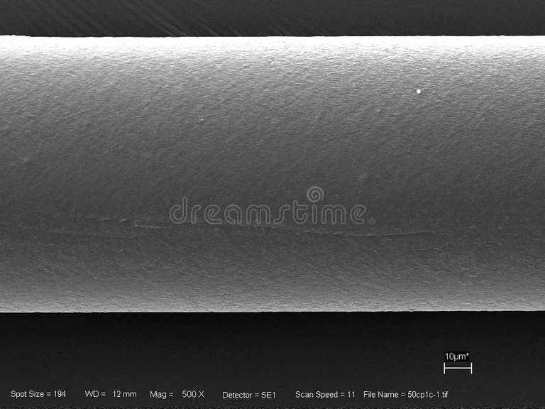 Image of Plastic Filament from Scanning Electron Microscope. Stock ...