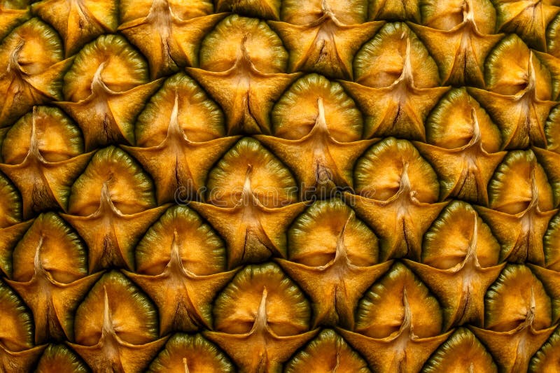 Close-up of Pineapple Skin Showing the Detailed, Rough, and Geometric ...