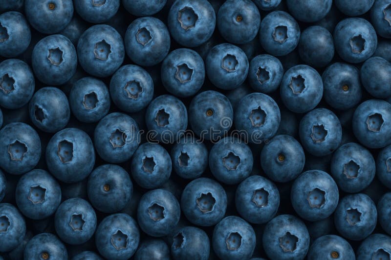 Fresh Blueberries Tightly Packed Together Forming a Rich Blue Fruit ...