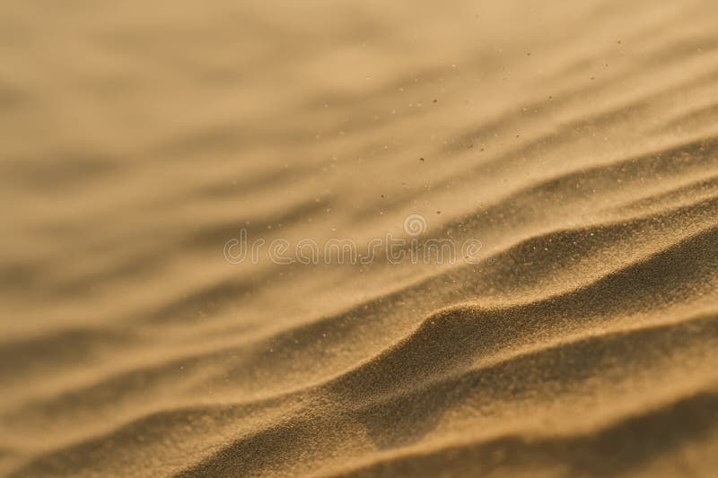 Desert Sand Waves. Textured Dune Surface Used in Nature, Travel, and ...