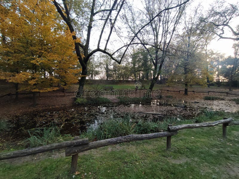 Image of pond in the park stock image. Image of outdoor - 219117015