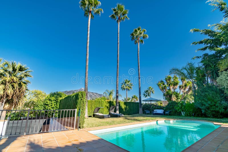 Poolside View Inside Villa with Palm Tree and Mountain Background Stock ...
