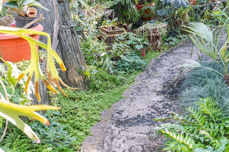 Image Portrays a Tranquil, Eco-friendly Outdoor Setting with a Winding ...