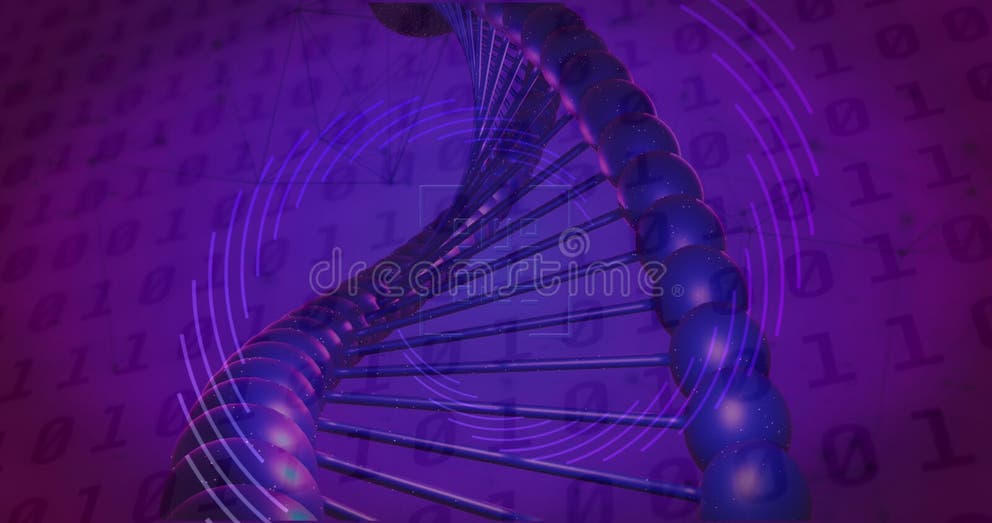 Image of Qr Code, Binary Coding, Data Processing Over Dna Strand Spinning Stock Photo - Image of ...