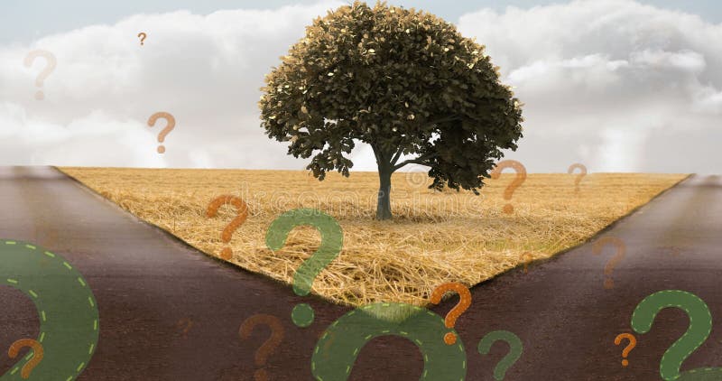 Road Signs Question Marks Stock Photos - Free & Royalty-Free Stock ...