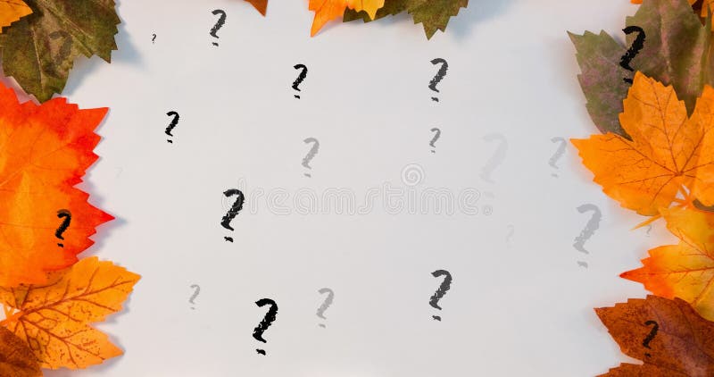 Image of Question Marks Over Leaves on White Background Stock Photo ...