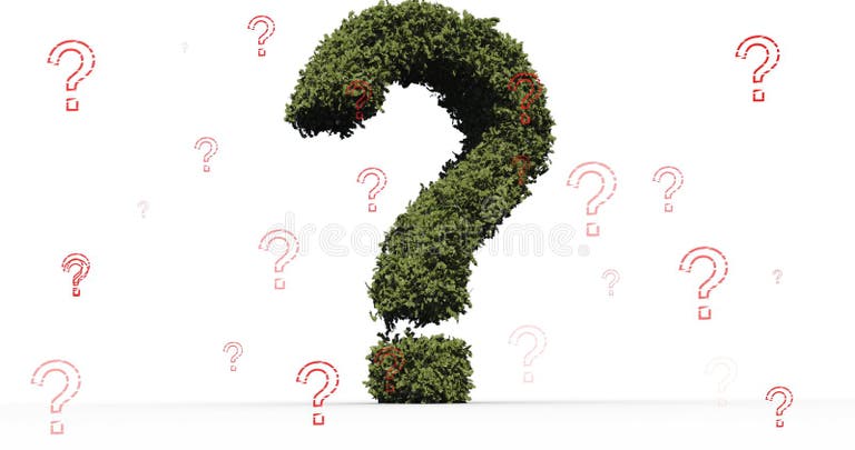 Image of Question Marks on White Background Stock Illustration ...