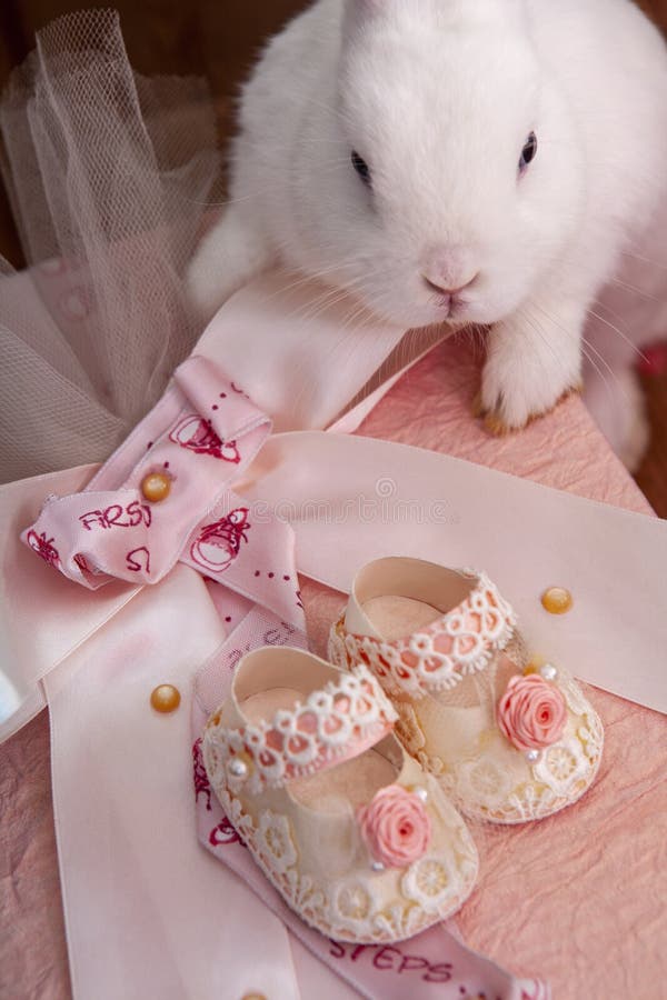 Image of rabbit baby shoes stock photo. Image of color - 199352632