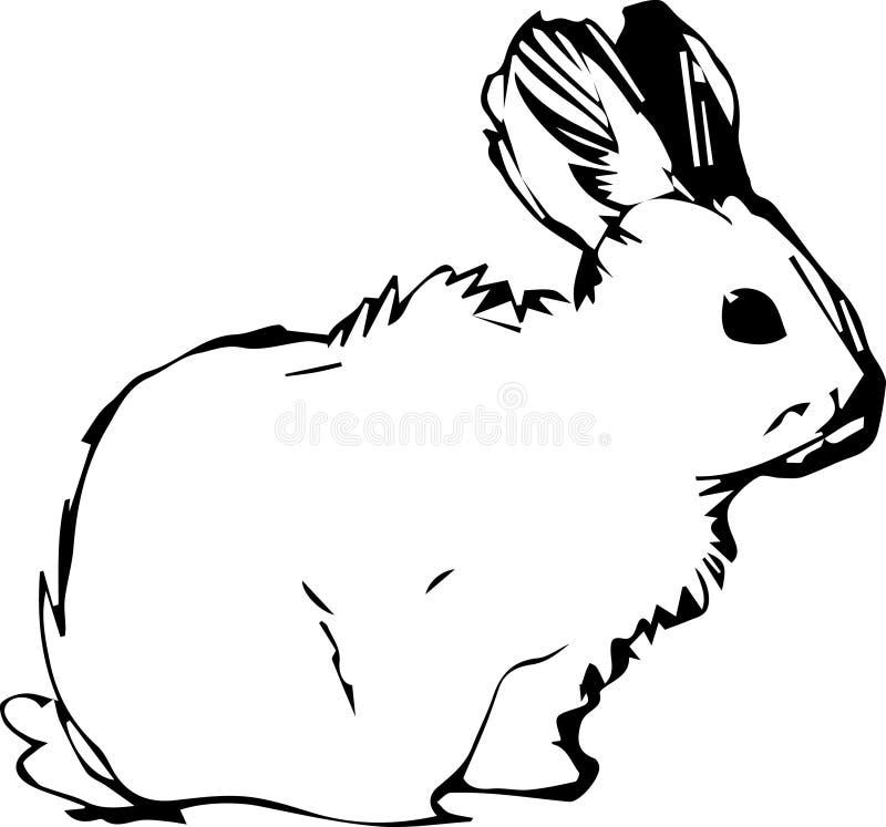 Rabbit drawing stock vector. Illustration of background - 17088843