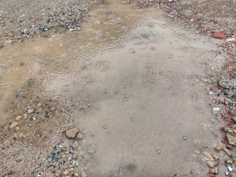 Image of a Rain Puddle on the Ground on a Rainy Day. Stock Photo ...