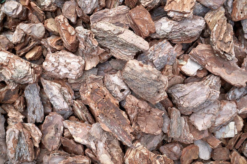 Barknuggets Stock Photos - Free & Royalty-Free Stock Photos from Dreamstime