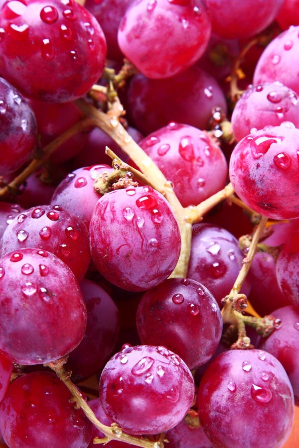 Image of Red Grape Background Stock Image - Image of gourmet, bright ...