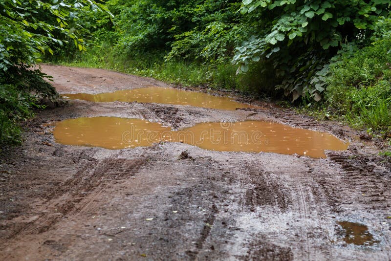 Reddish Dirt Road in the Forest with Puddle Stock Image - Image of path ...
