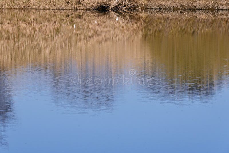 An Image of Reflections on the Surface of the Water. Stock Image ...