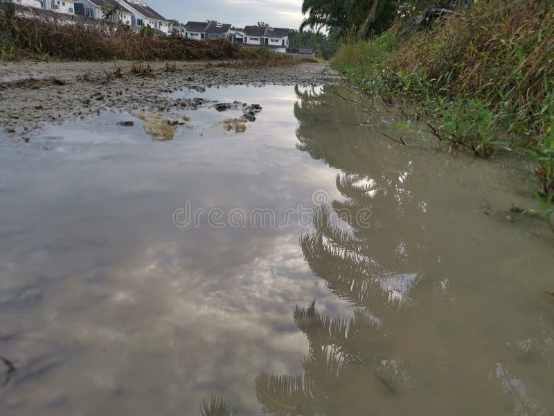 Reflective Pool of Stagnant Water after Heavy Rainfall on the Rural ...