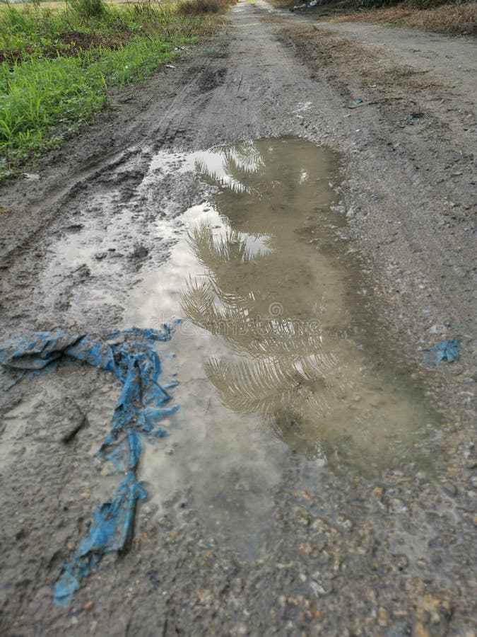 Reflective Pool of Stagnant Water after Heavy Rainfall on the Rural ...