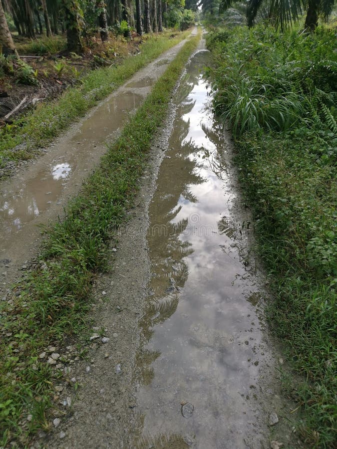 Reflective Pool of Stagnant Water after Heavy Rainfall at the Rural ...