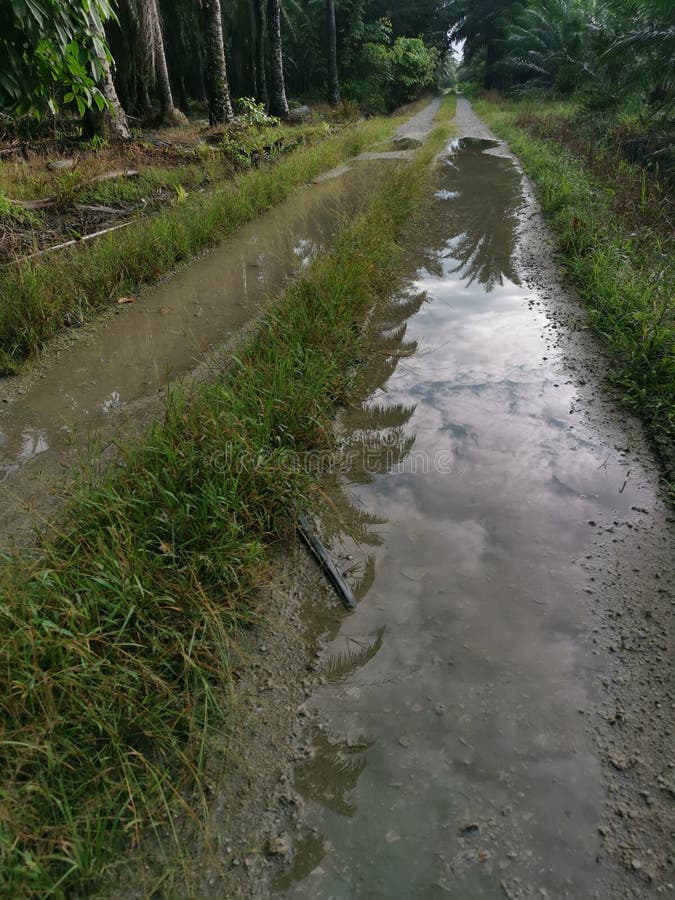 Reflective Pool of Stagnant Water after Heavy Rainfall at the Rural ...