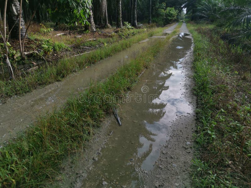 Reflective Pool of Stagnant Water after Heavy Rainfall at the Rural ...