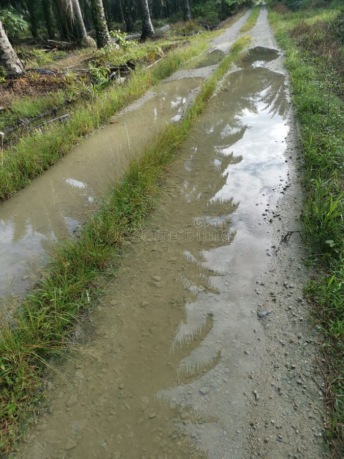 Reflective Pool of Stagnant Water after Heavy Rainfall at the Rural ...