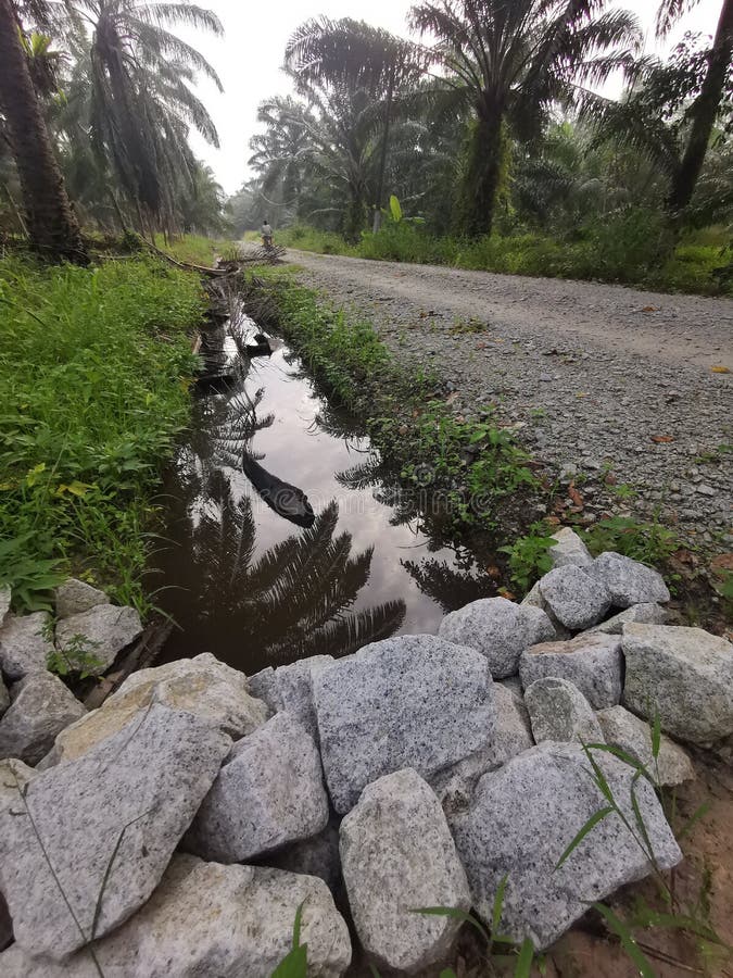 Reflective Pool of Stagnant Water on the Rural Pathway Stock Image ...